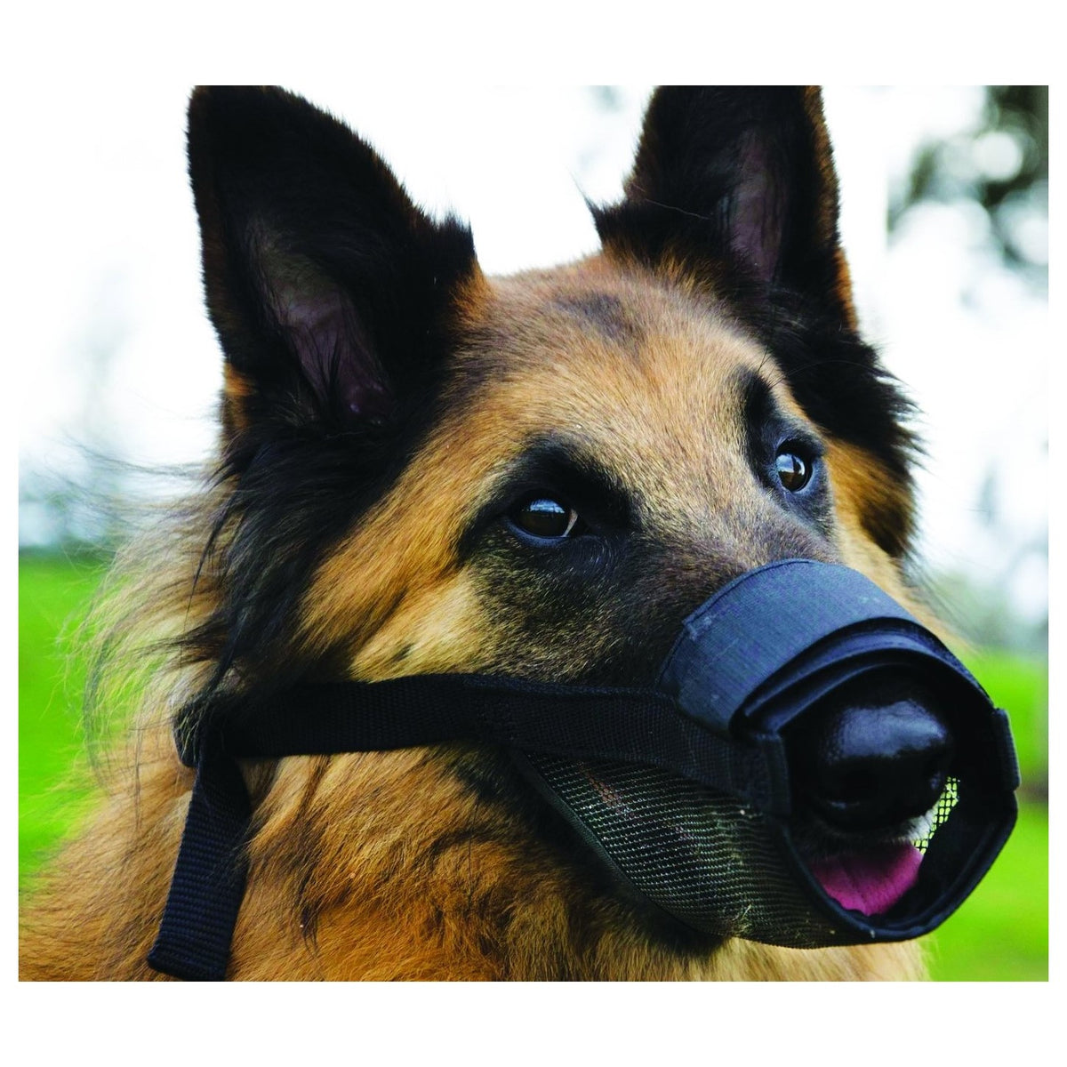 Beau Pets Adjustable Muzzle – Tails Pet Centre