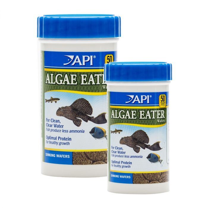 API Algae Eater Wafers – Tails Pet Centre