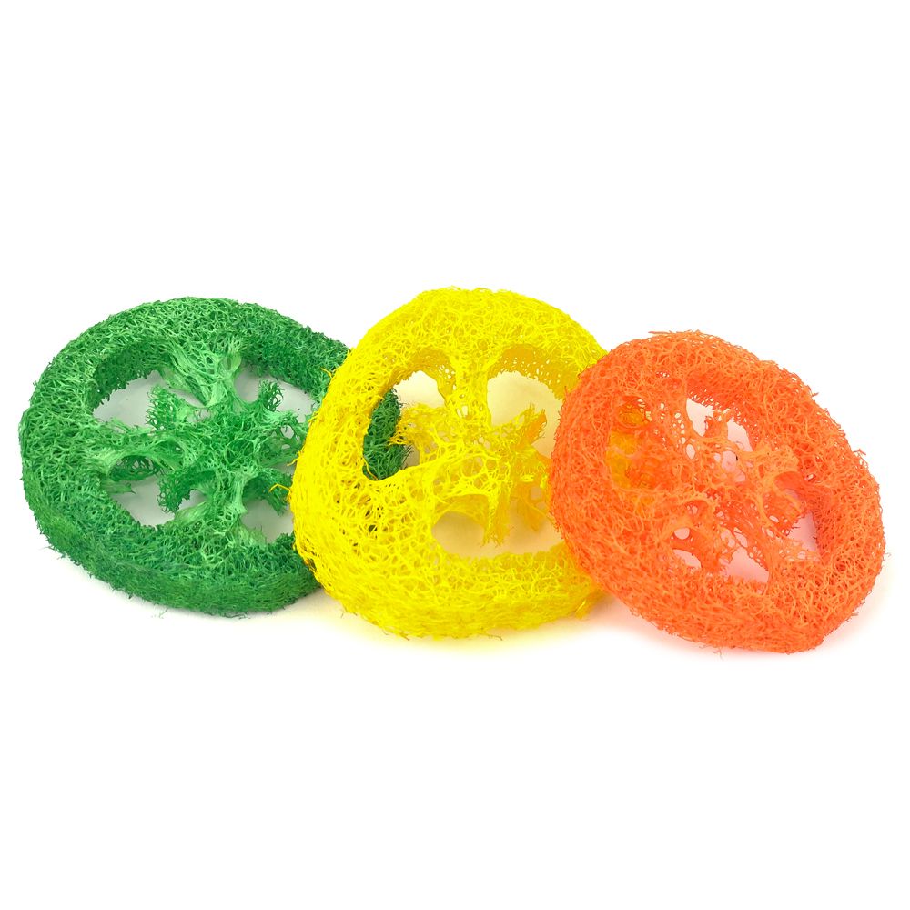 Pip Squeak Loofah Chews – Tails Pet Centre