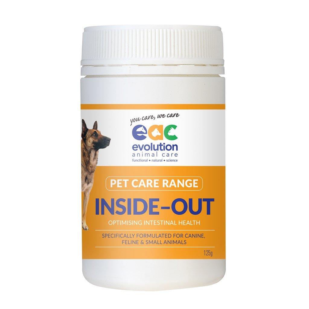 Evolution Inside Out – Tails Pet Centre